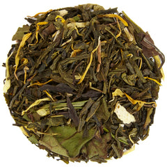 Pit&Pit DE – Pit&Pit DE